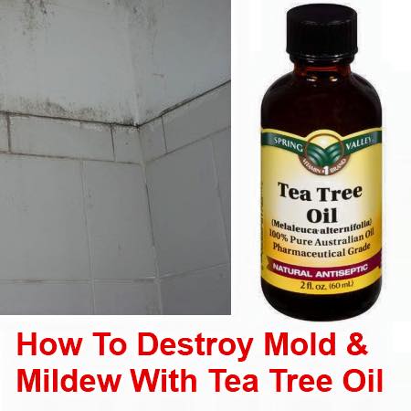 Remove Mold & Mildew NATURALLY With Tea Tree Oil - Home Garden DIY