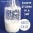 Snowstorm in a Jar Winter Science - Home Garden DIY