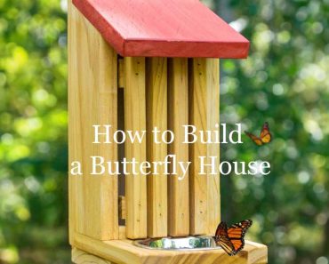 DIY Archives - Home Garden DIY